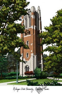 Michigan State University | USA Diploma Frames