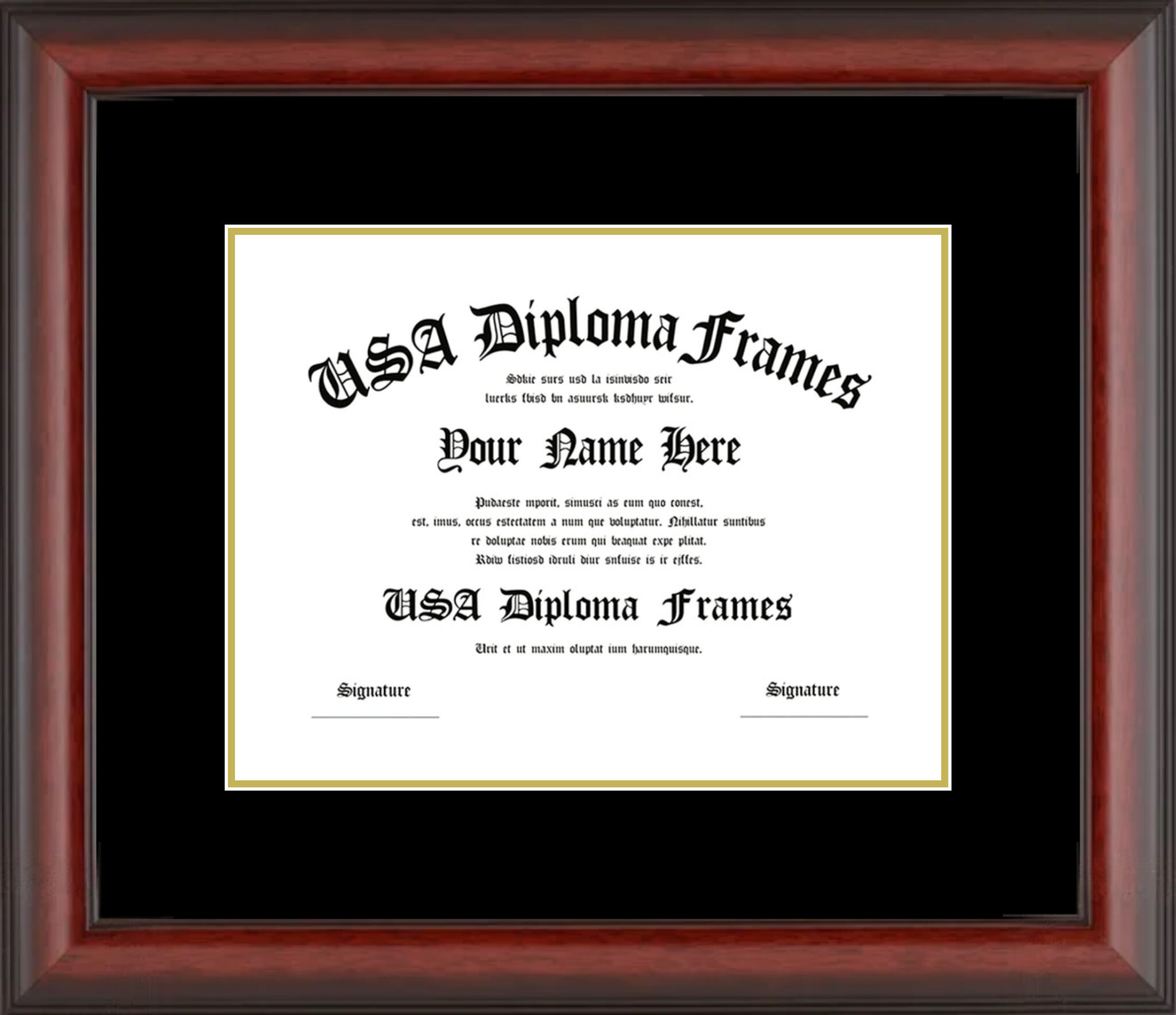 Michigan State University | USA Diploma Frames