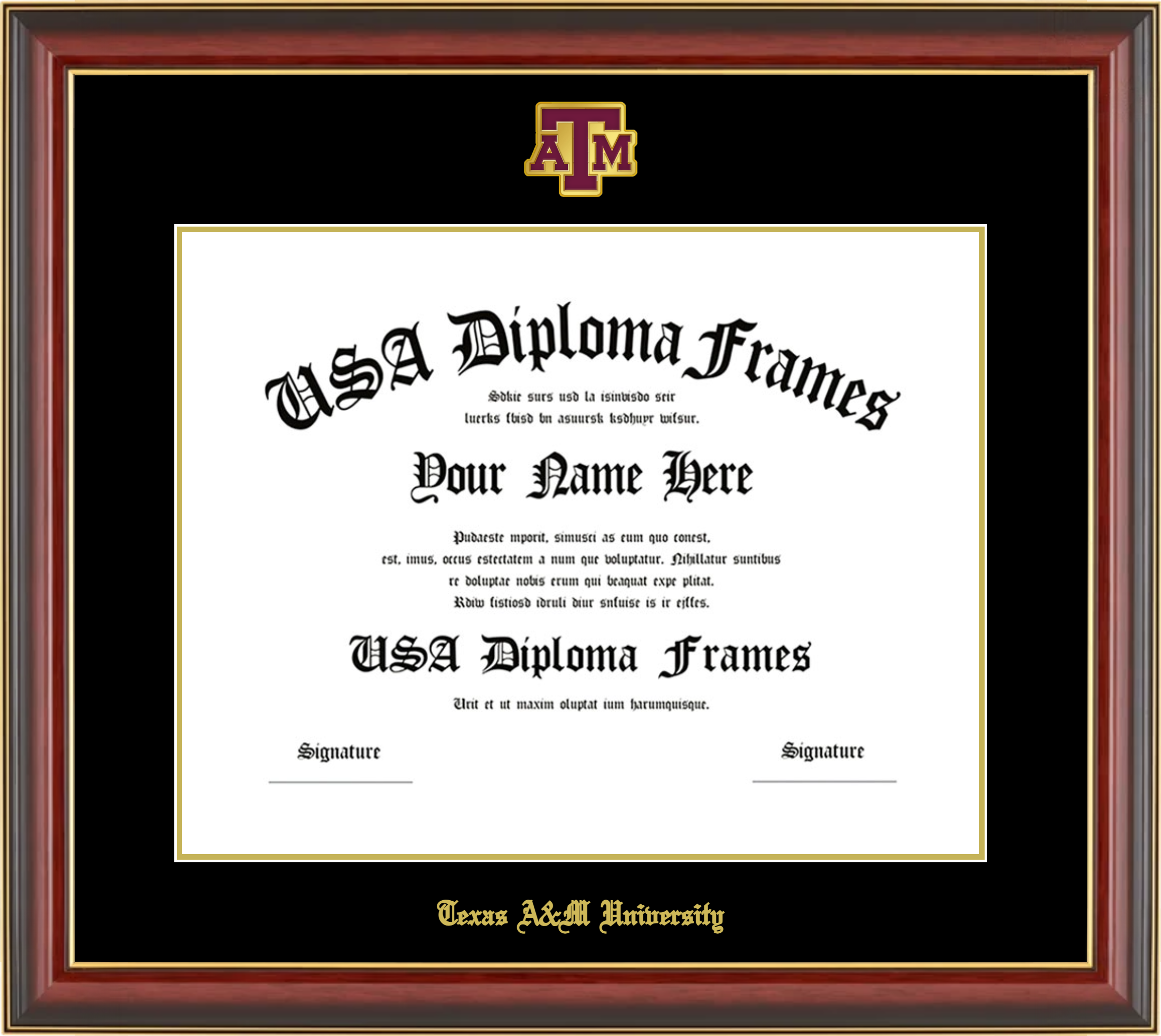 Texas A&M University Diploma Frame- Cherry Mahogany Gold Trim Glossy ...
